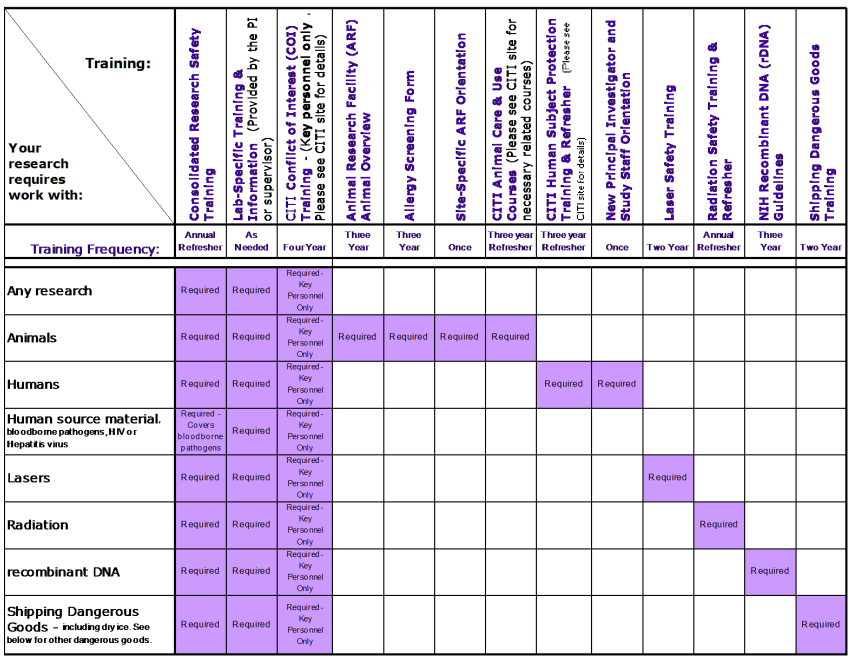 Section 2- Trainings | Student Experience