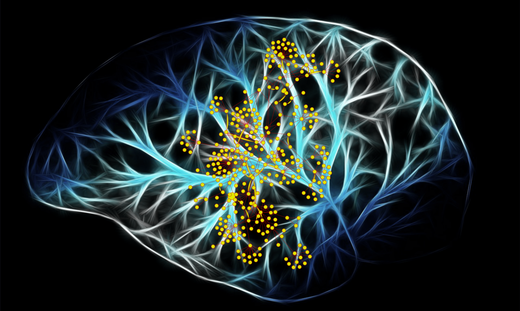 A single-cell and spatial atlas of autopsy tissues reveals pathology ...
